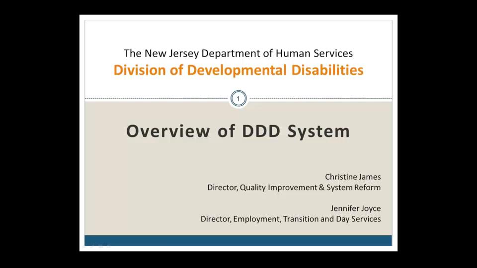 Overview of DDD System